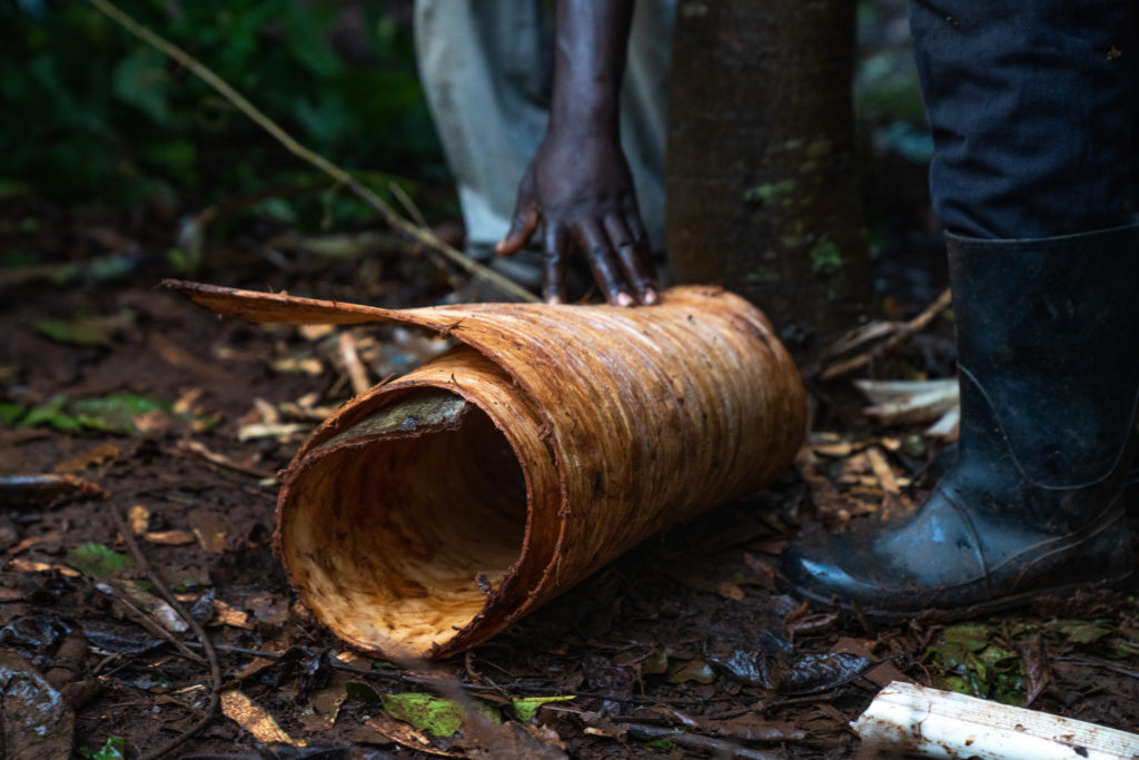 Erfolgsgeschichte: MUTUBA! - Jane Goodall Institute Austria