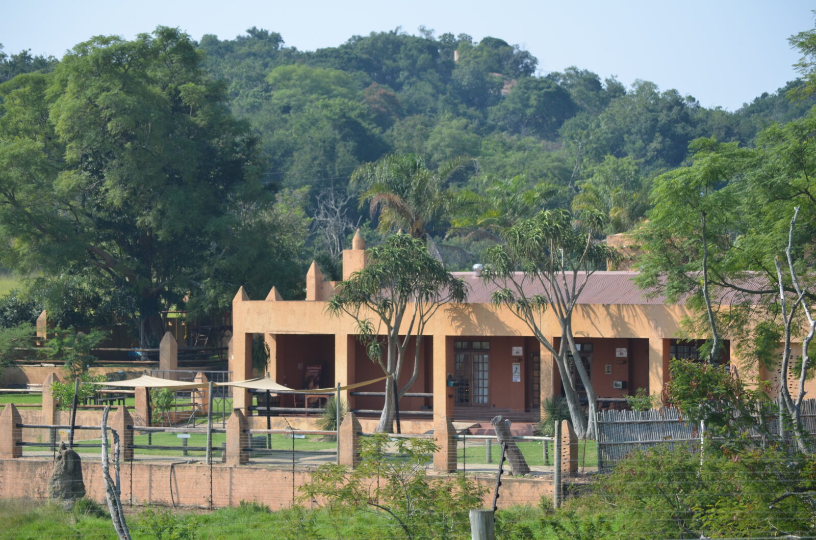 Chimp Eden: Das einzige Schimpansenschutzgebiet in Südafrika - Jane ...