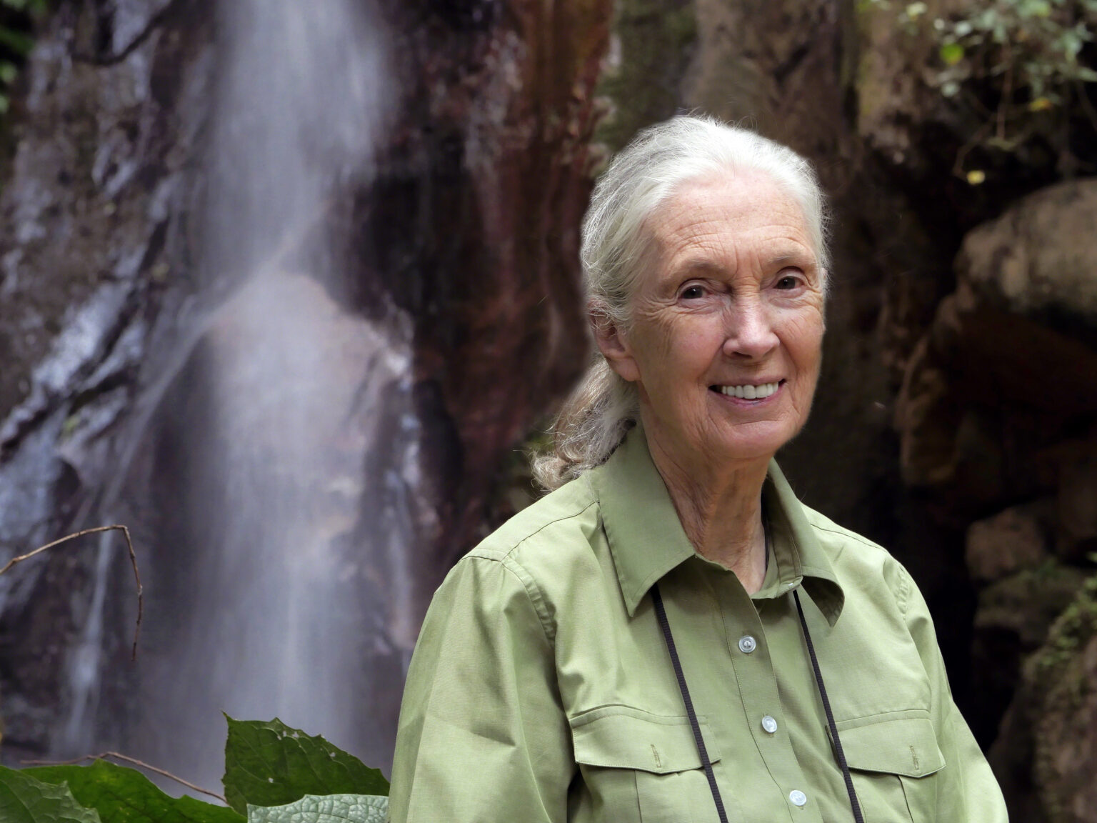 Das beeindruckende Leben von Jane Goodall - Jane Goodall Institute Austria