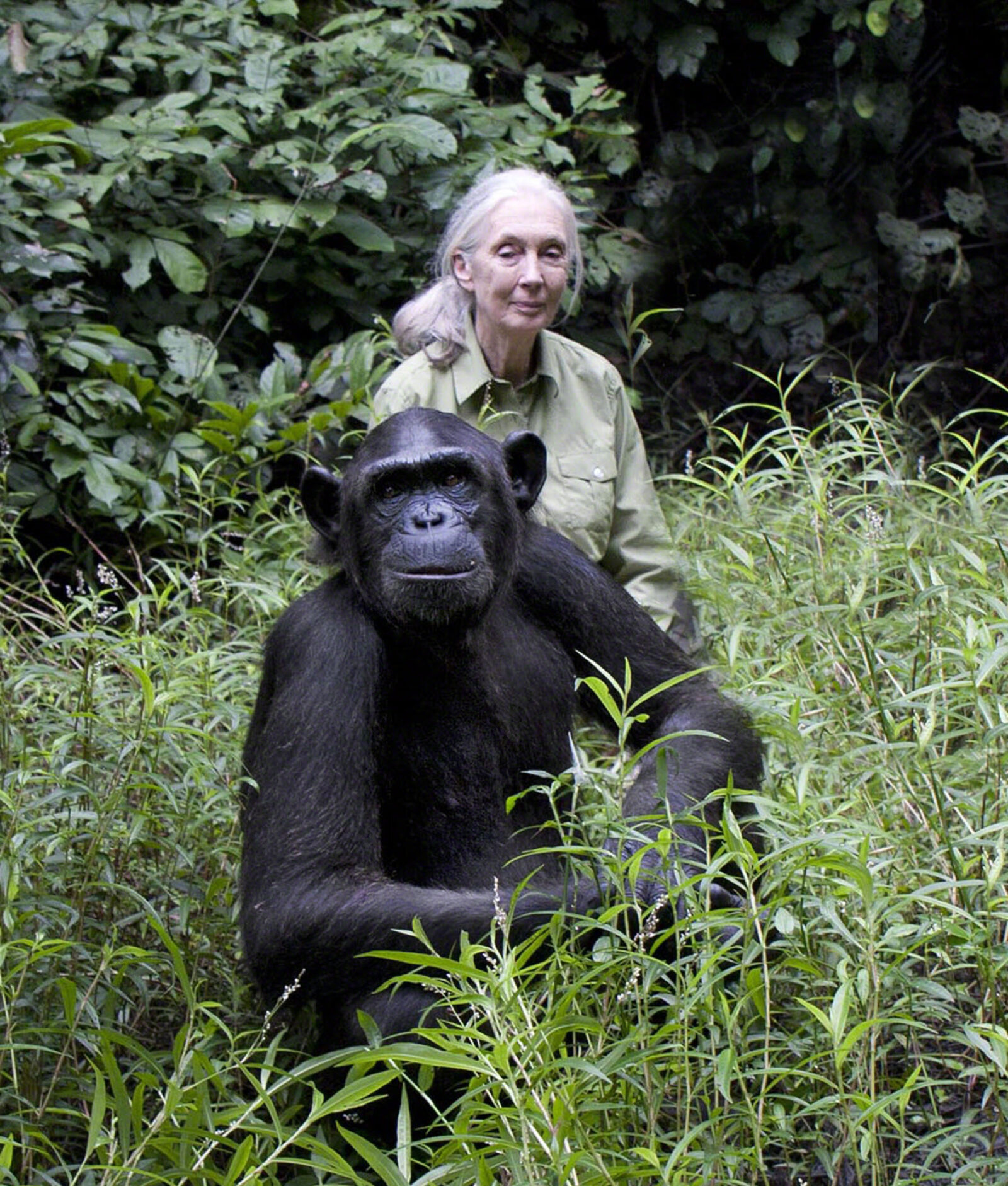 Jane Goodall und das Jane Goodall Institute Austria: Holistische ...
