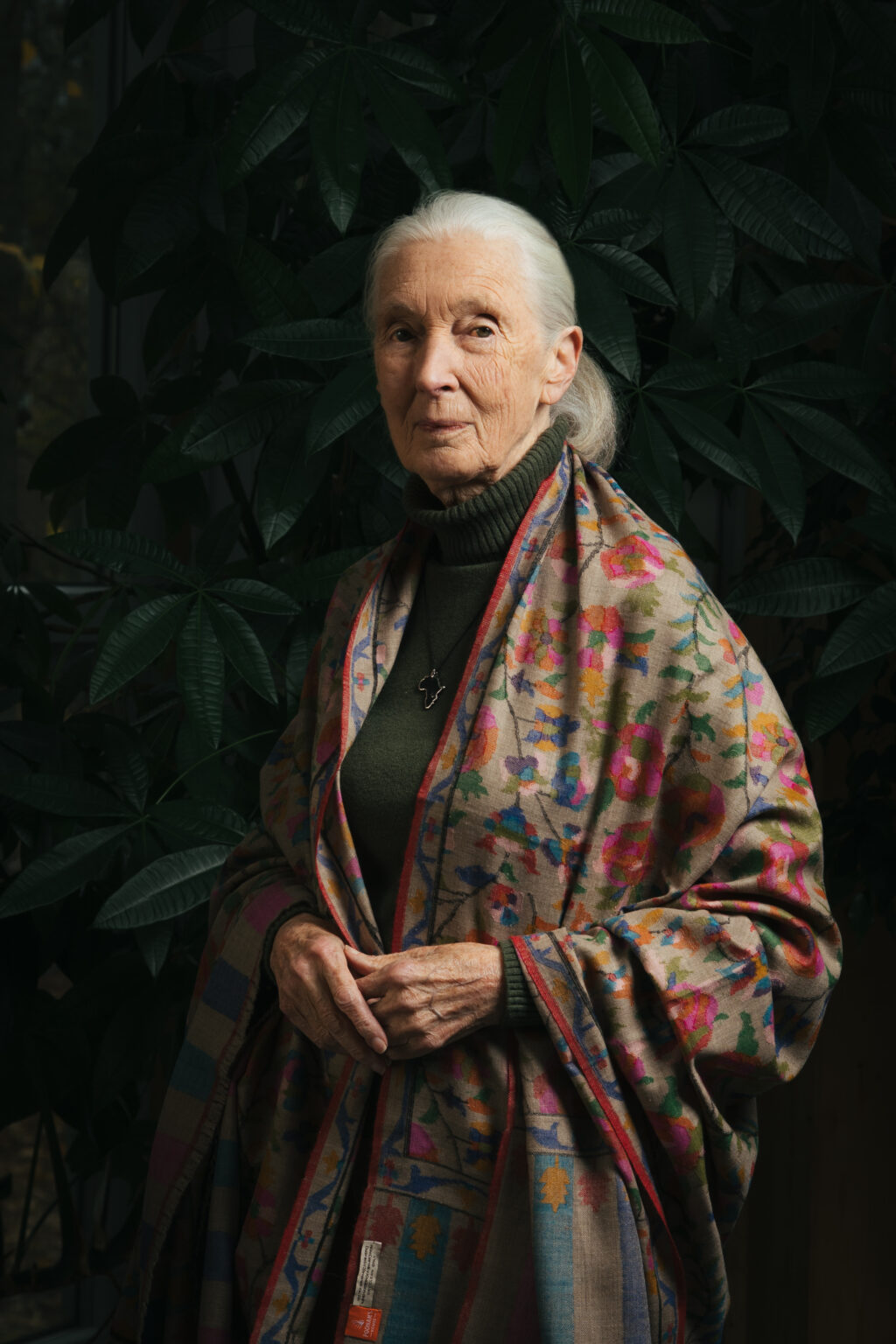 Dr. Jane Goodall 1934 - 2025 - Jane Goodall Institute Austria
